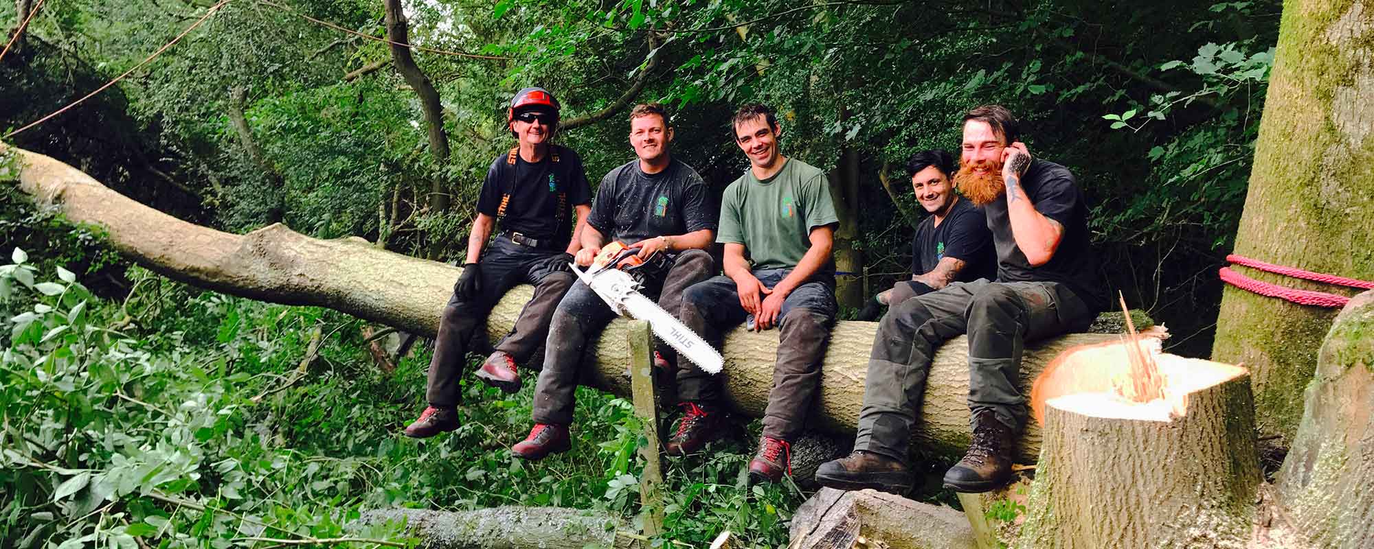 Tree Surgery Specialists